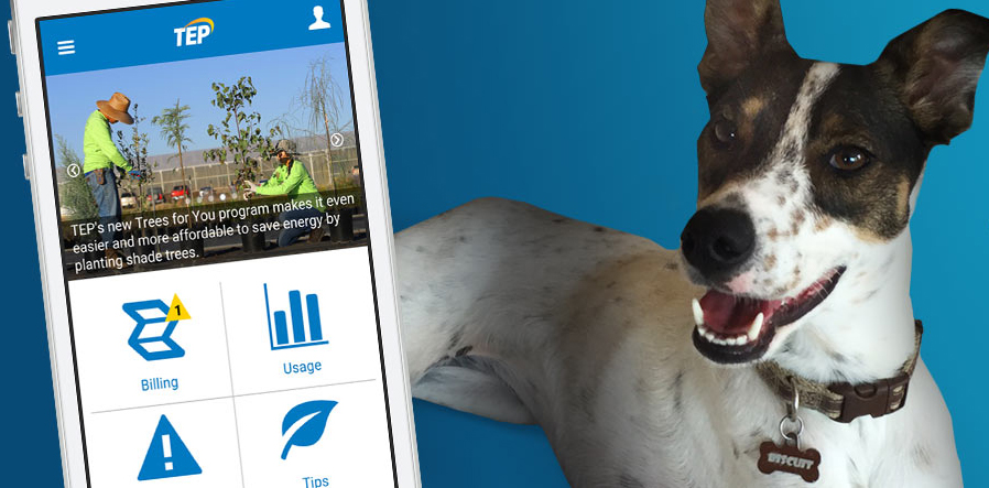 Tucson Electric Power – TEP provides safe, reliable power to Tucson ...