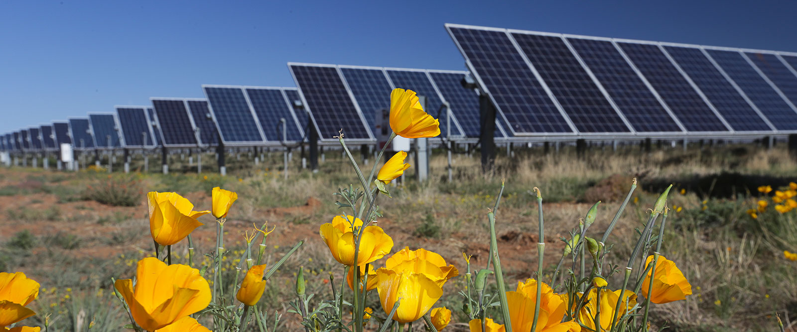 GoSolar Shares – Tucson Electric Power