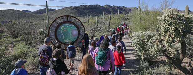 Sixty Years of Environmental Learning at Camp Cooper – Tucson Electric ...